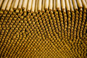 Cigars Expected to Miss Upcoming Nicaraguan Tariffs - Tobacco Reporter