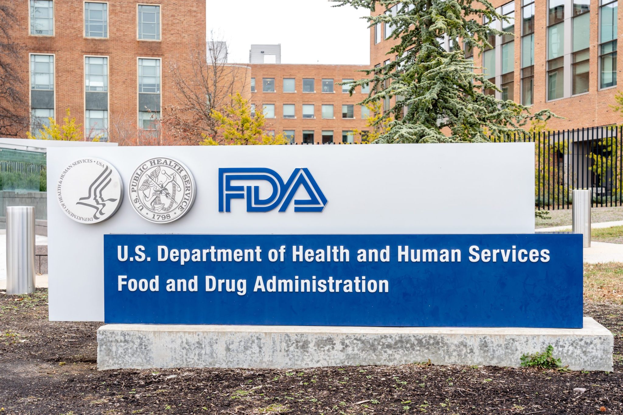 FDA Authorizes 20 ZYN Pouch Products - Tobacco Reporter