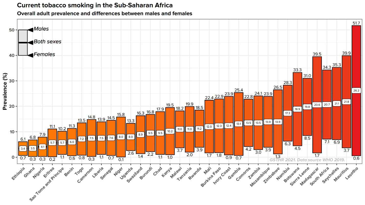Sub-Saharan Africa Urged to Embrace THR - Tobacco Reporter