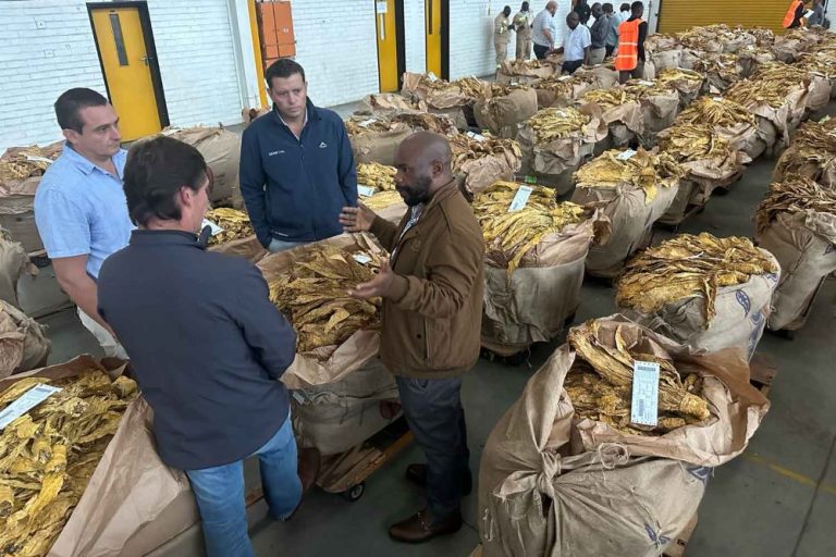 Zimbabwe Bans Non-Contract Tobacco - Tobacco Reporter