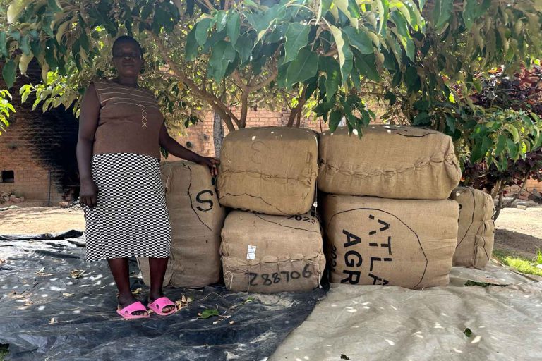 Zimbabwe Exports Up - Tobacco Reporter