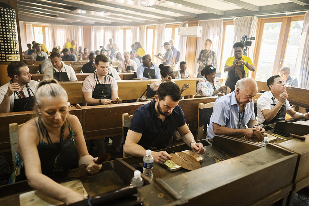 Cuba Festivalgoers Roll Cigars at Factories - Tobacco Reporter